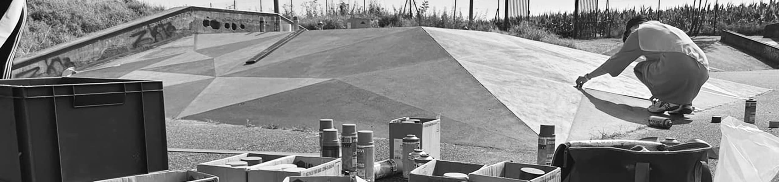 Skatepark et jardin partagé de dannemarie | ArtSoc